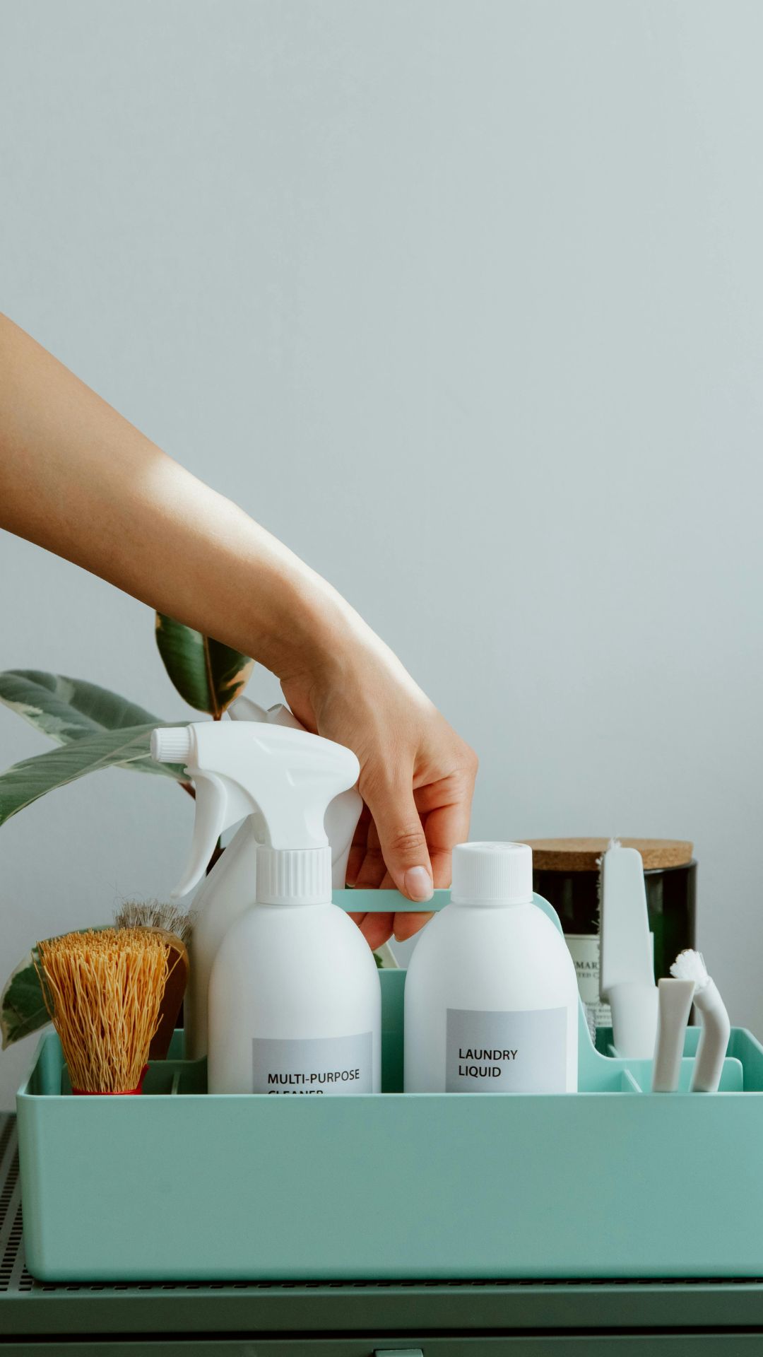 7 Must-Have Home Essentials for Smart Living