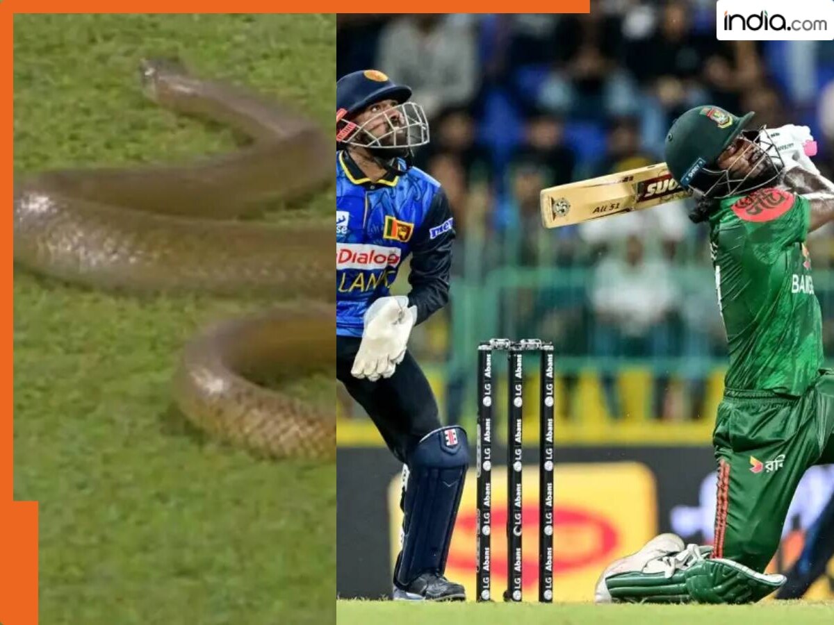 VIDEO: श्रीलंका में फिर मैच देखने मैदान में घुसा सांप, नाग देवता के ...
