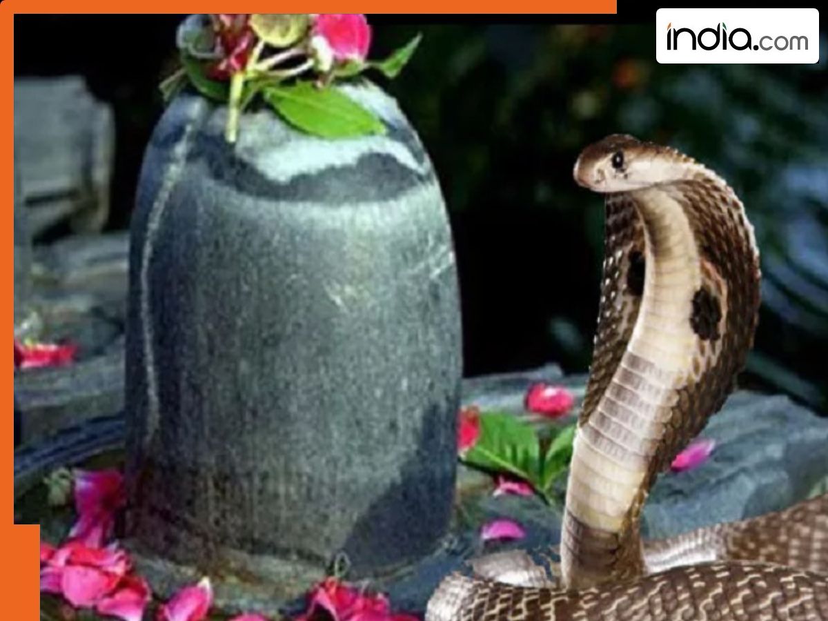 Nag Panchami 2025: नागपंचमी के दिन भूलकर भी नहीं खोदनी चाहिए जमीन ...