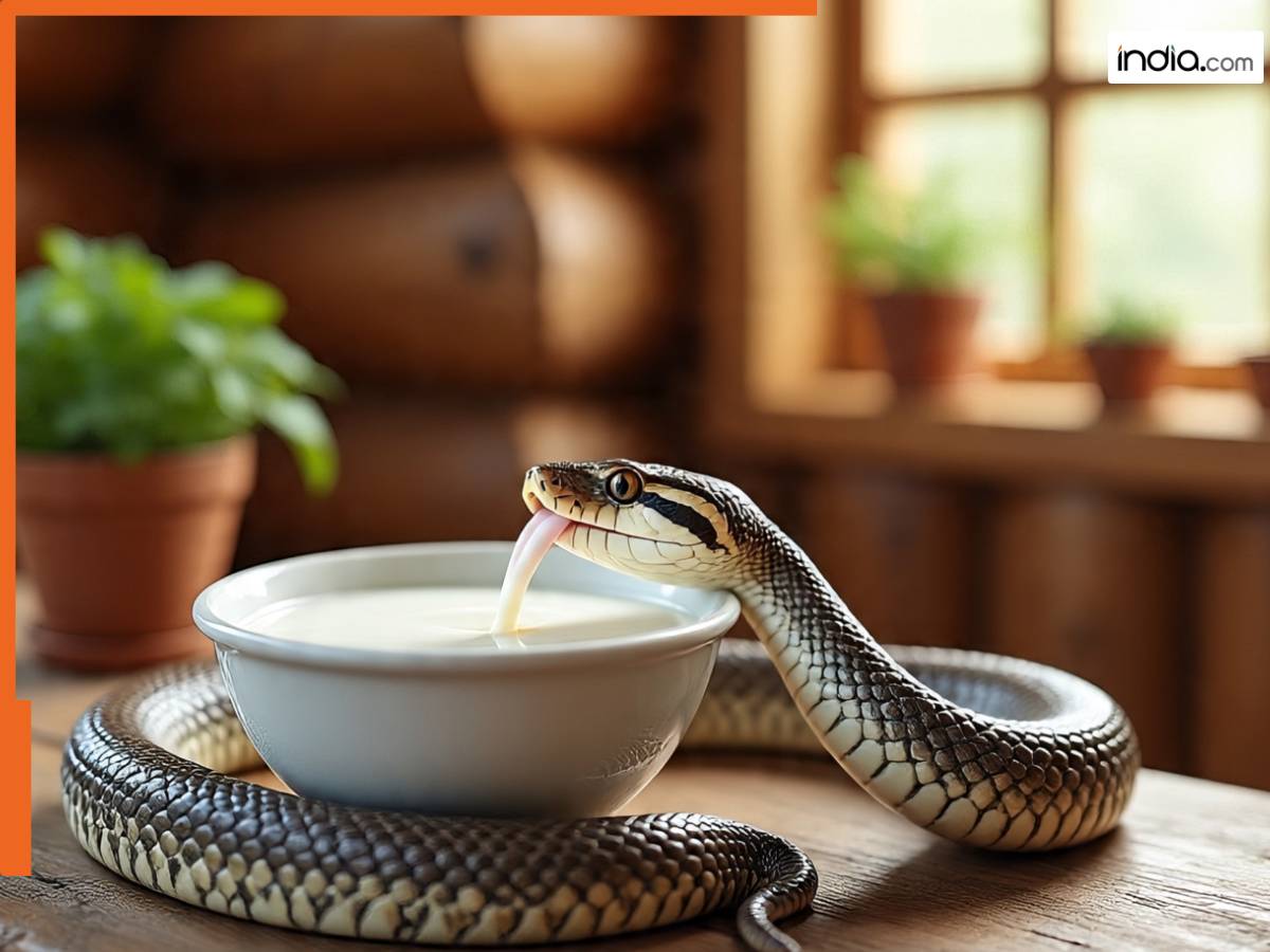 Nag Panchami 2025: नाग पंचमी के दिन नाग देवता को क्यों चढ़ाया जाता है ...