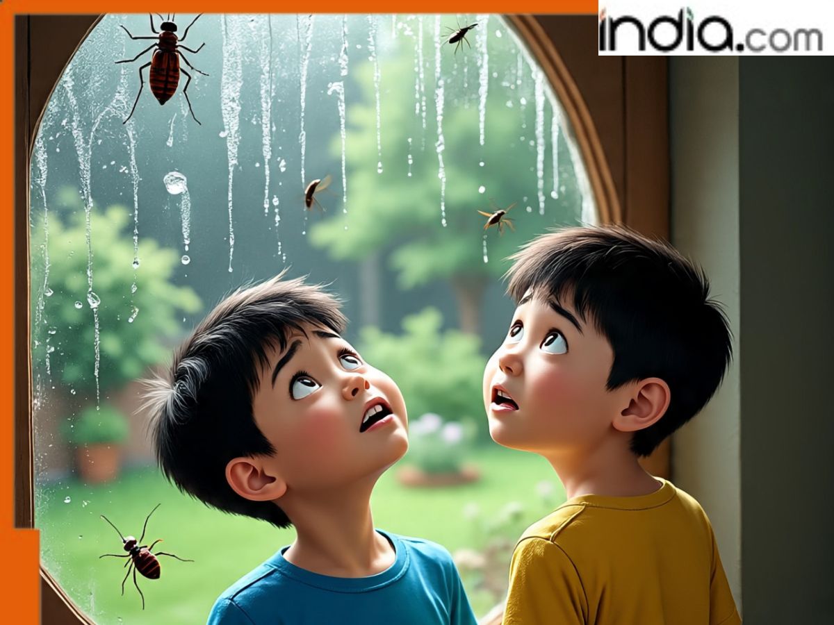 बरसात में कीड़े- मकोड़ों के आतंक से हैं परेशान, आजमाएं 2 रुपये का ये ...
