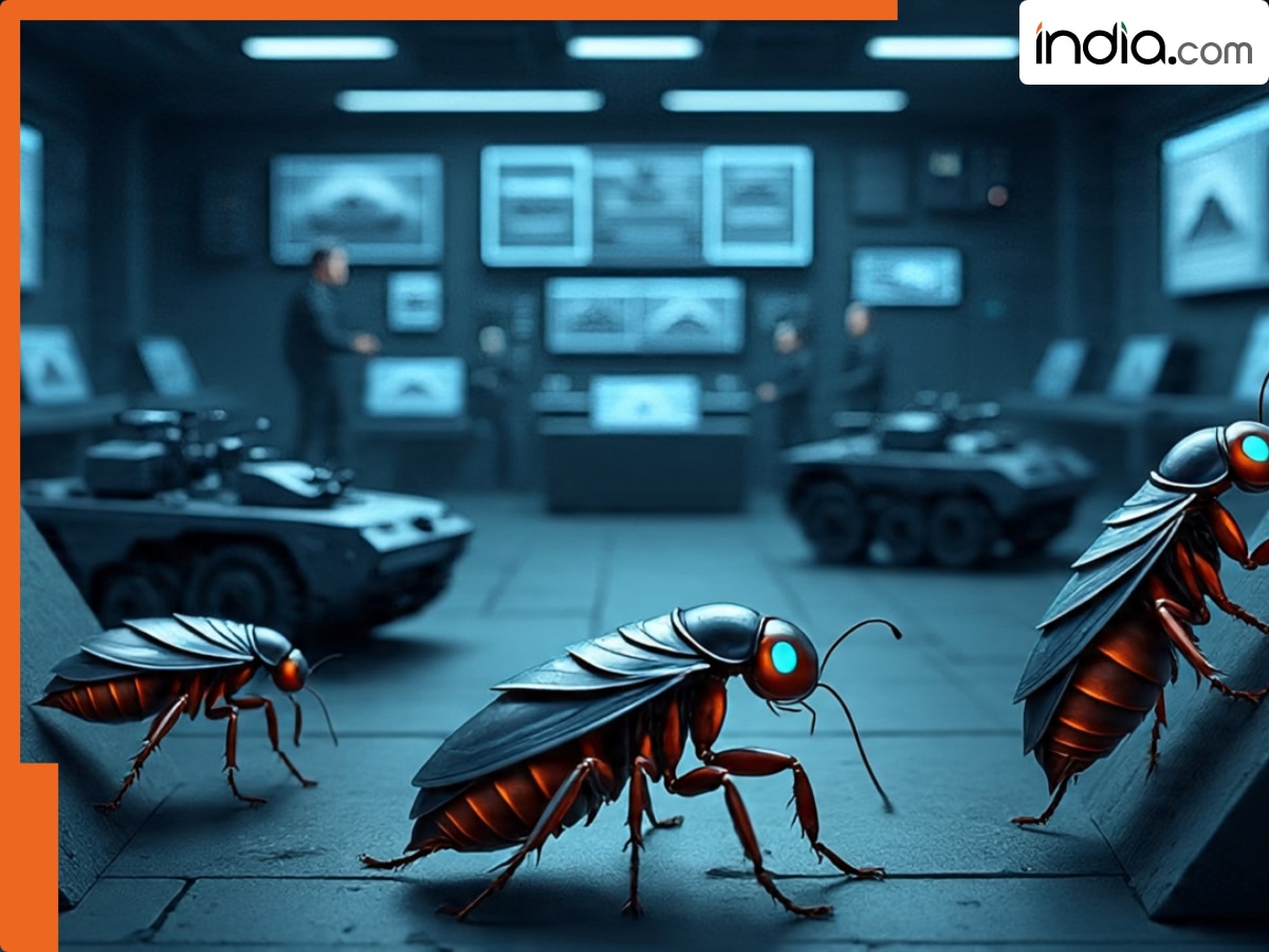 अब जंग के मैदान में उतरेगी कॉकरोच आर्मी! ये देश बना रहा है भविष्य की ...