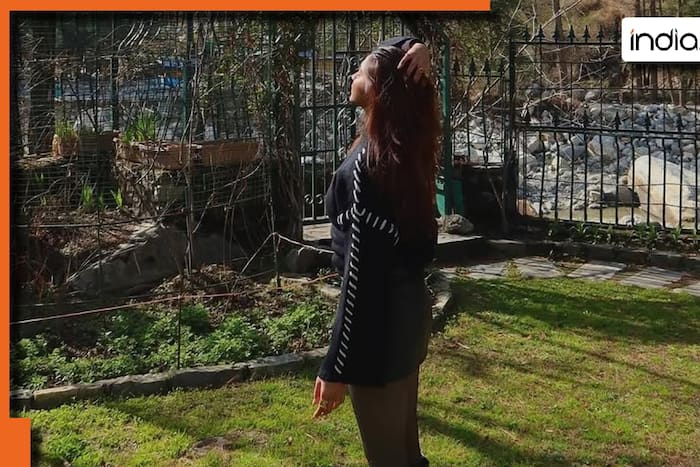 Bigg Boss 19 Contestant List: This controversial girl with net worth of ...