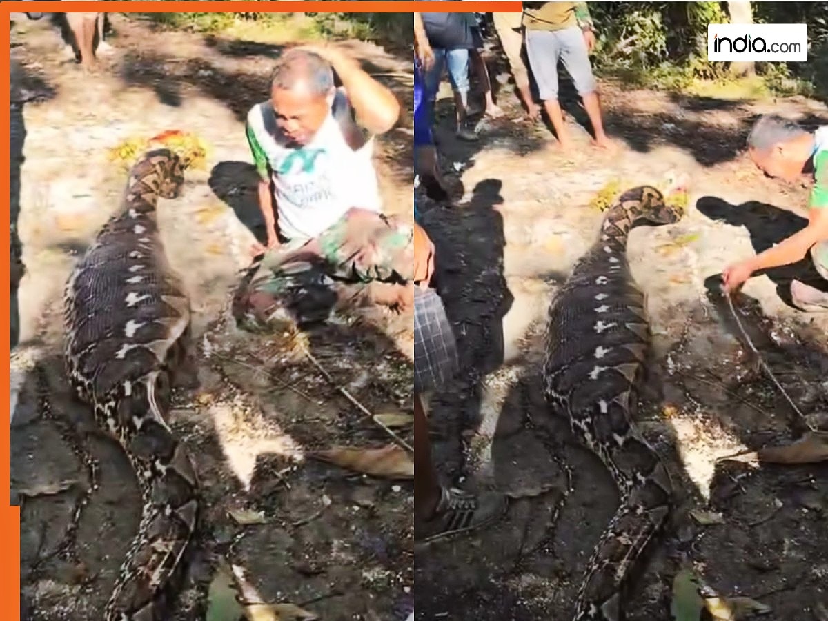 Azgar Ka Video: विशालकाय अजगर को उठाकर चलती दिखी बच्चों की टोली, खूब ...