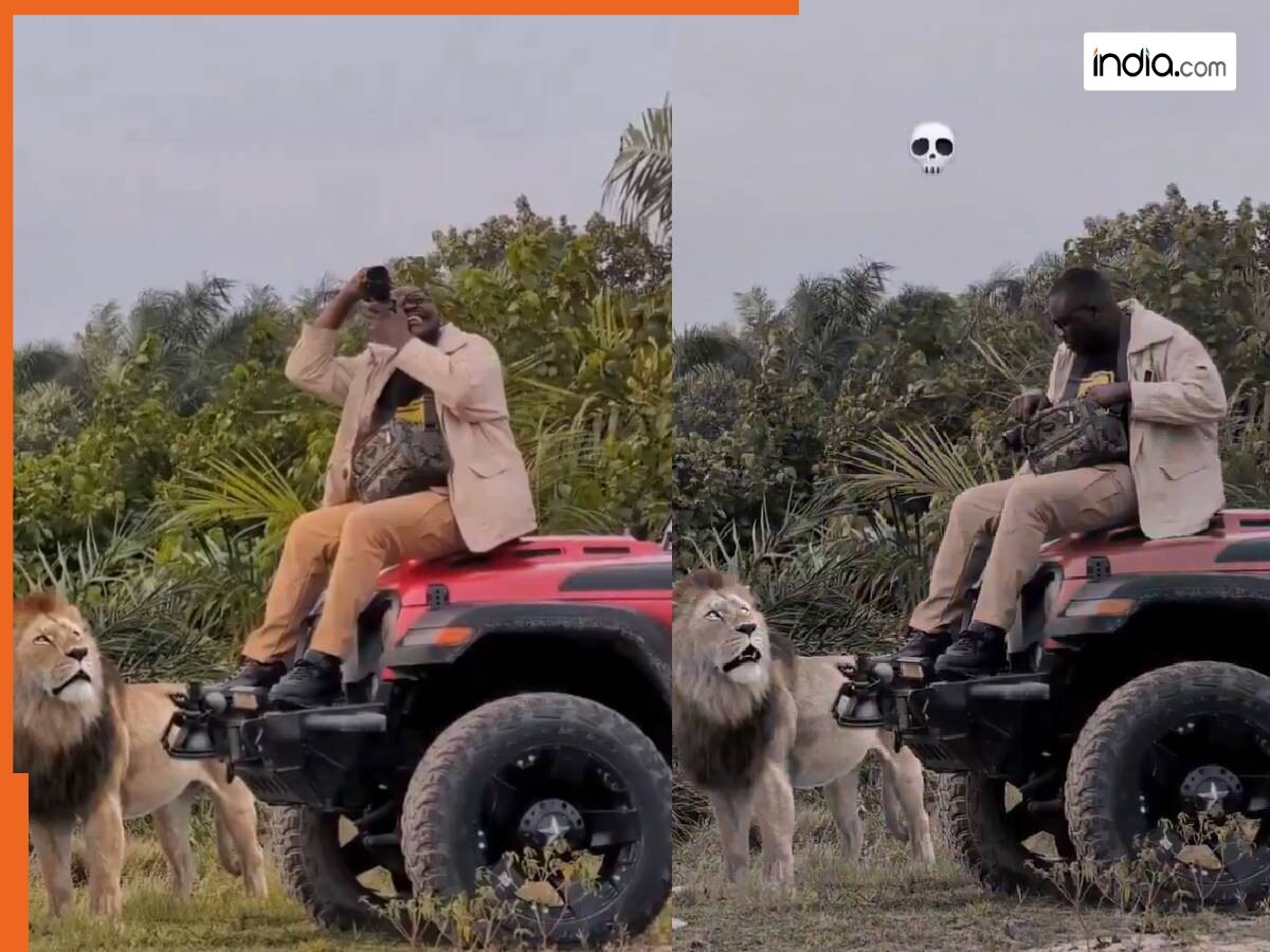 Sher Ka Video: जंगल सफारी में फोटोग्राफी कर रहे थे लोग, अचानक आ धमका ...