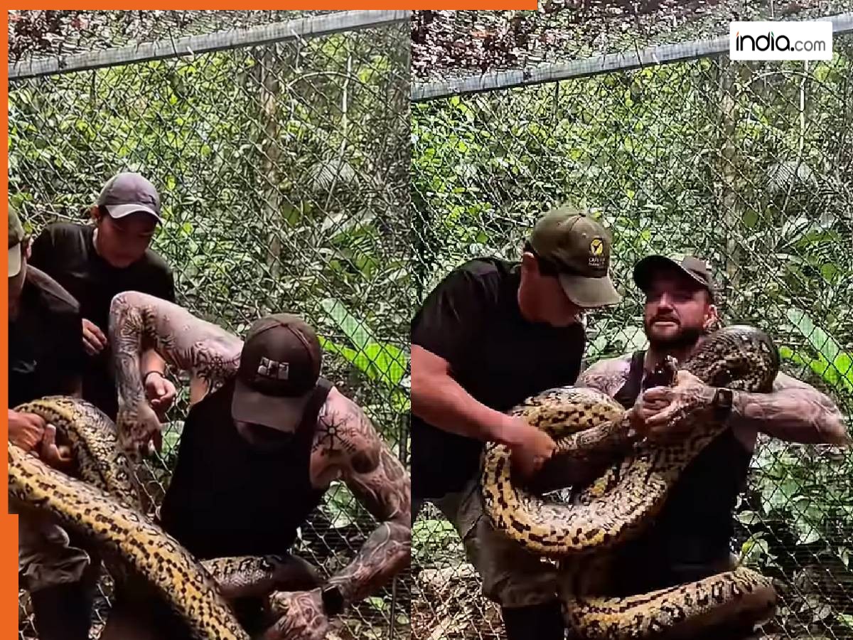 Anaconda Attack Video: हाथों से एनाकोंडा को पकड़ना पड़ा महंगा, सांप ने ...
