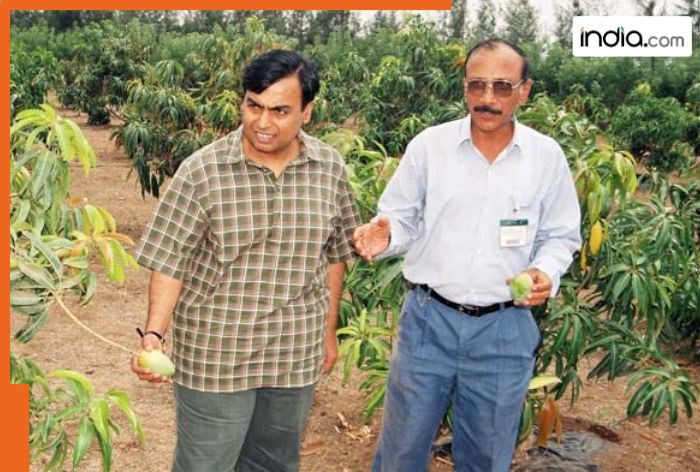Mukesh Ambani owns Asia’s largest mango orchard, over 200 varieties of ...