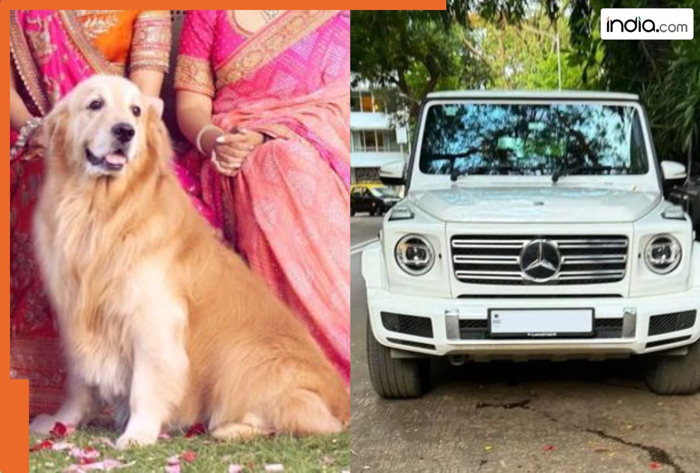 इस कुत्ते के पास है खुद की Mercedes गाड़ी….राजाओं जैसी जीता है जिंदगी