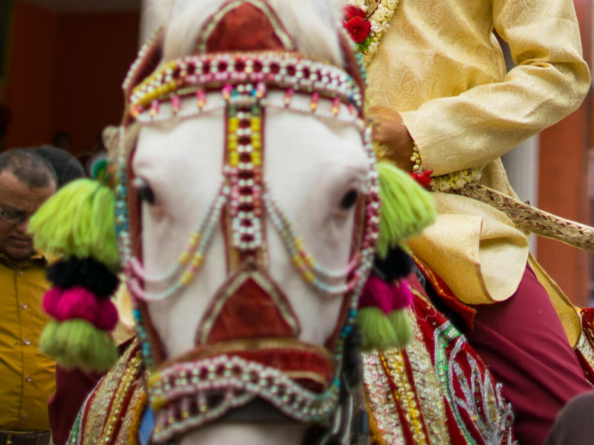 दूल्हा घोड़े पर नहीं, घोड़ी पर ही क्यों चढ़ता है? जानिए सदियों पुरानी ...