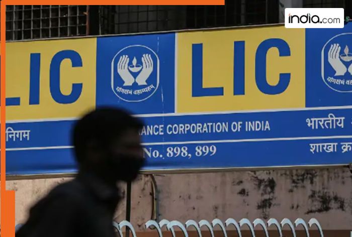 Big update on LIC: Govt plans to sell large shareholding, Motilal Oswal ...