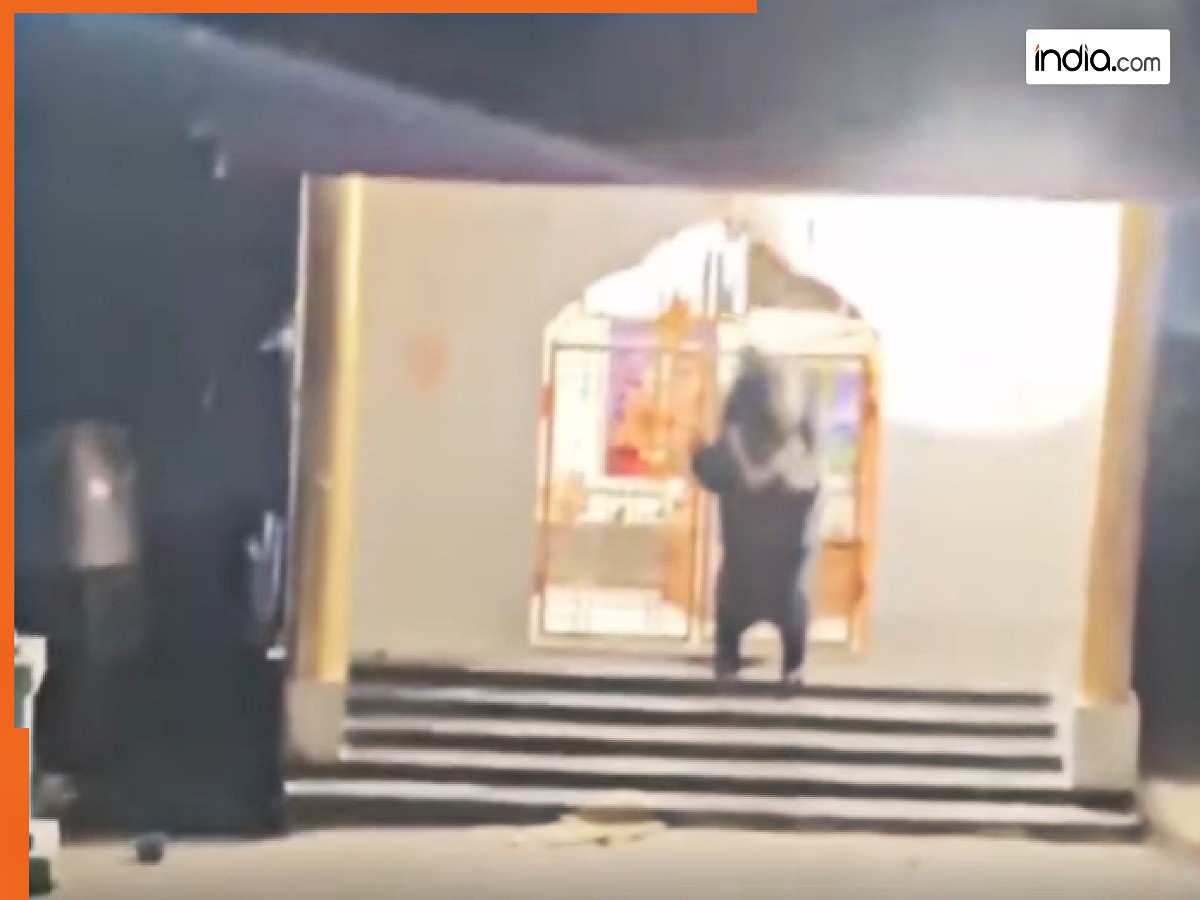 Bhalu Ka Video: मंदिर में घुसकर घंटी बजाने लगा भालू, देखकर चकित रह गए ...