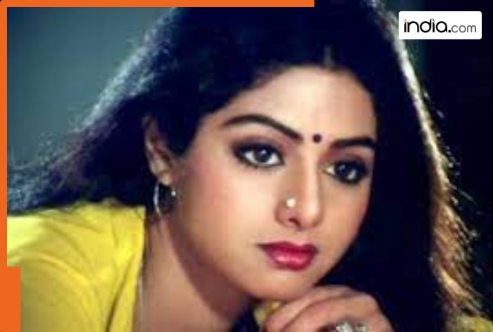 This actress, who looked like Sridevi, became a superstar in her teens ...