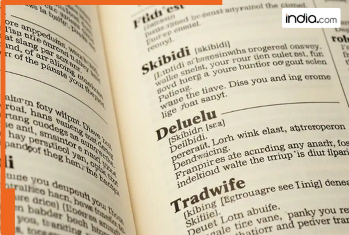 Do you know the meaning of Skibidi, Delulu, and Tradwife? These new ...