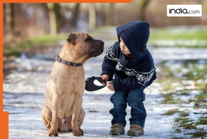 This country has the most dogs in the world, China stands third, Russia ...