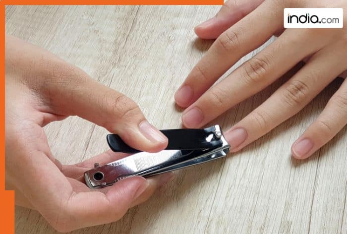 Nail cutter has two tiny knives due to..., many people don't know its ...