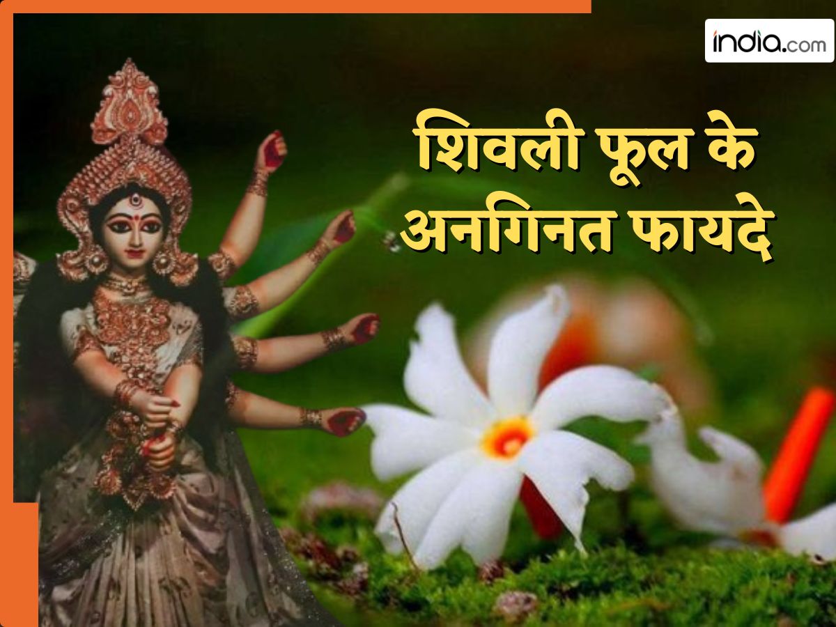 अमृत के समान होता है शिवली फूल! इन खतरनाक रोगों को करता है जड़ से गायब ...