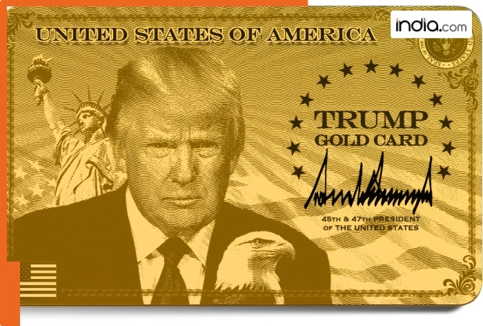 What are Trump's Gold, Platinum, and Corporate Gold Cards that might ...