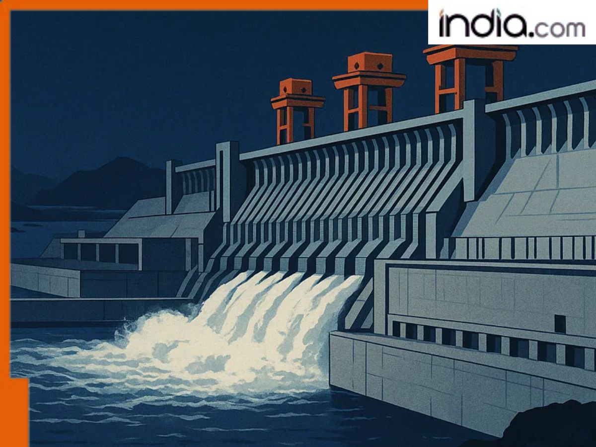 टिहरी से लेकर तुंगभद्रा तक... ये हैं भारत के 10 सबसे बड़े बांध, जानें ...