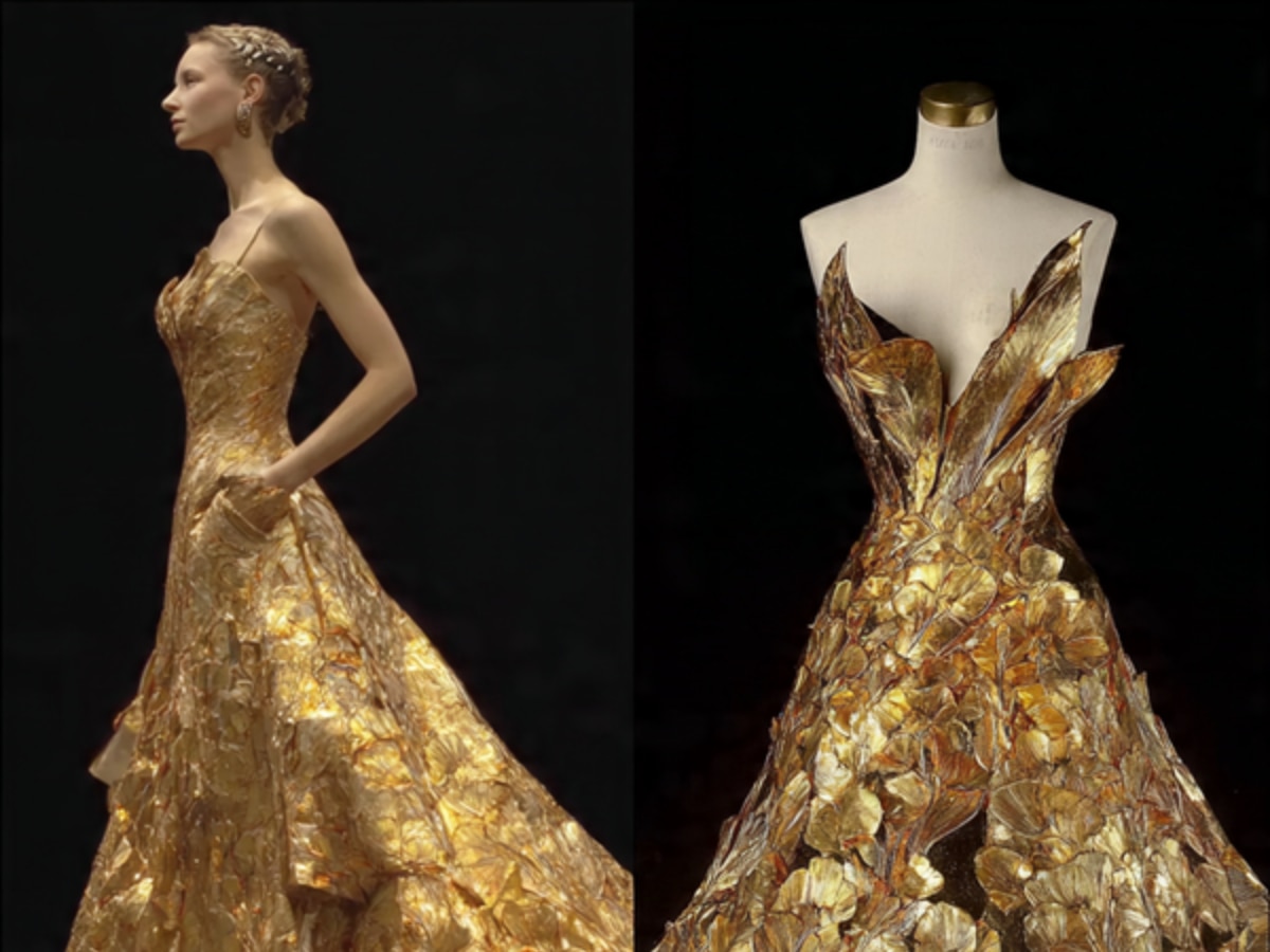 Worlds Most Expensive Dress: दुनिया की सबसे महंगी ड्रेस! जिसमें जड़ा है ...