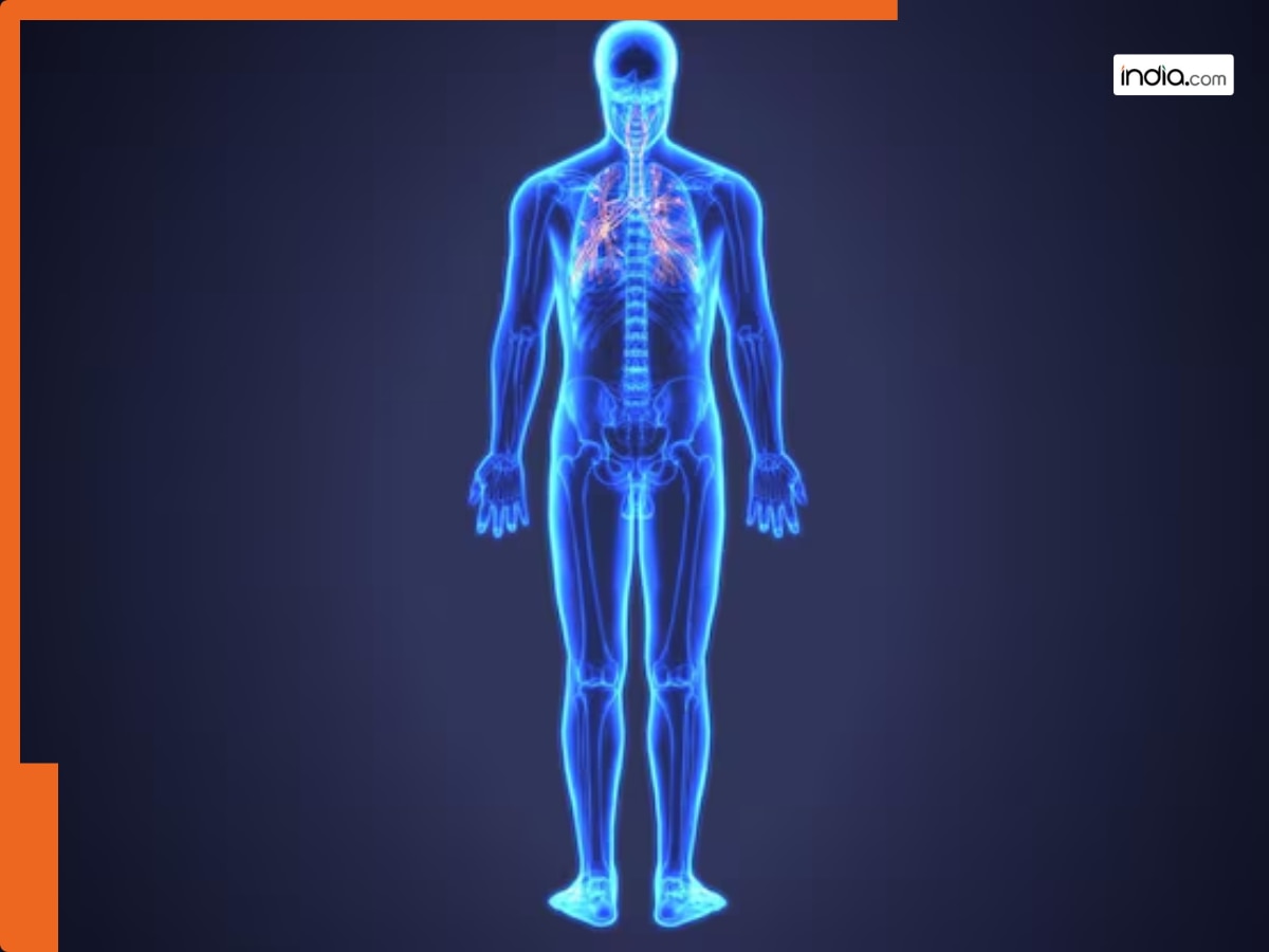 General Knowledge: इंसान के शरीर का कौन-सा हिस्सा जन्म से मृत्यु तक एक जैसा रहता है? 90% लोगों ...