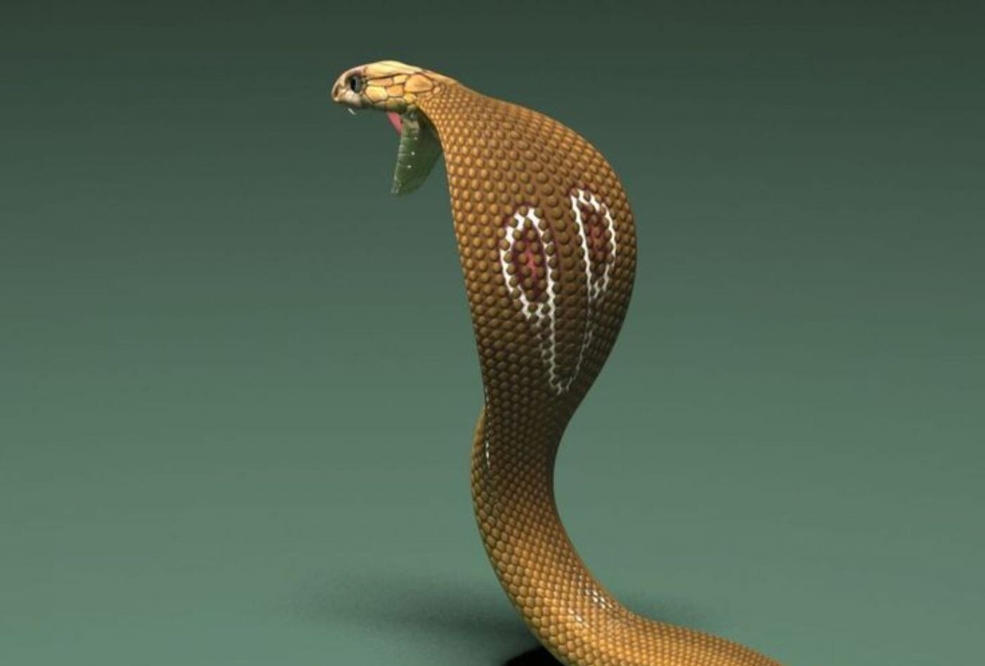 सांपों का ये सच आपको हिला देगा! इंसान के बराबर जीते हैं ये Snake! जानें ...