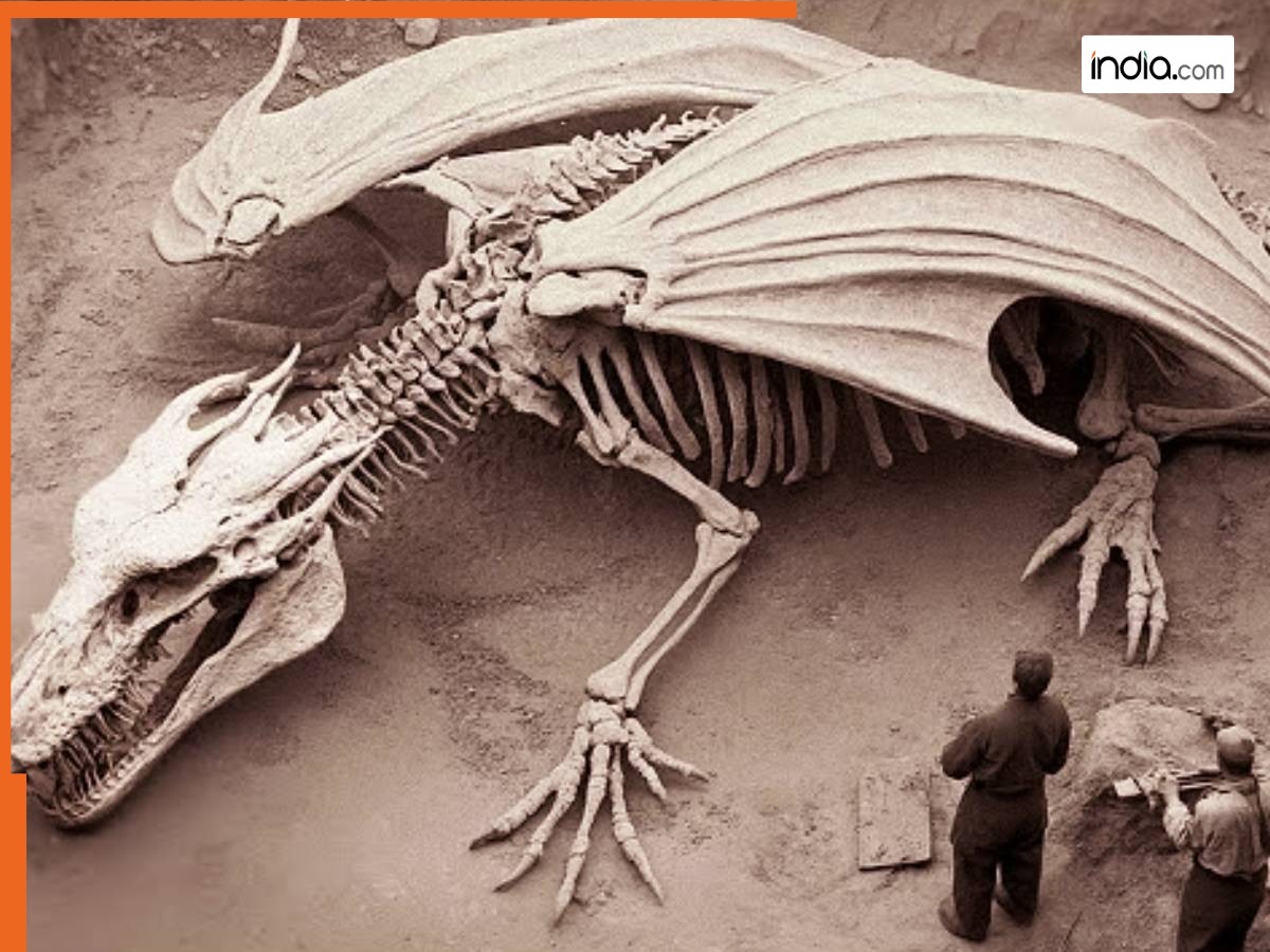 असली ड्रैगन का कंकाल मिलने से मचा हड़कंप! सिर्फ गर्दन में ही दिखीं 32 हड्डियां, रोंगटे खड़ी कर ...