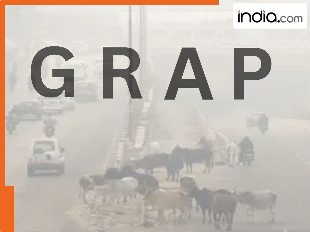 Delhi Pollution: आखिर क्या है ये GRAP? प्रदूषण बढ़ते ही क्यों चढ़ने ...