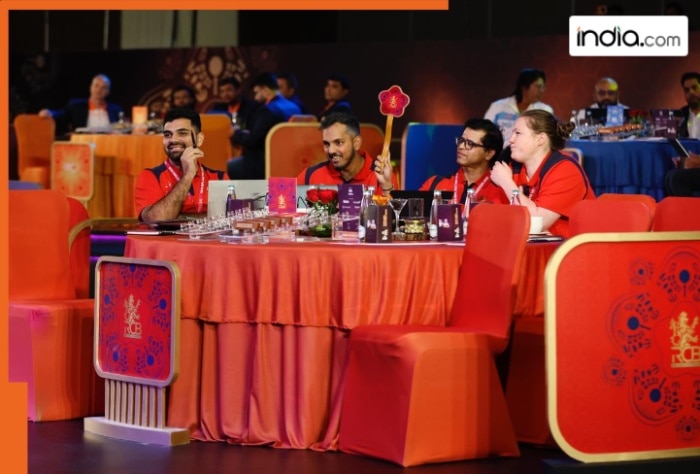 Smriti Mandhana's RCB steal the spotlight with smart buys at WPL 2026 ...