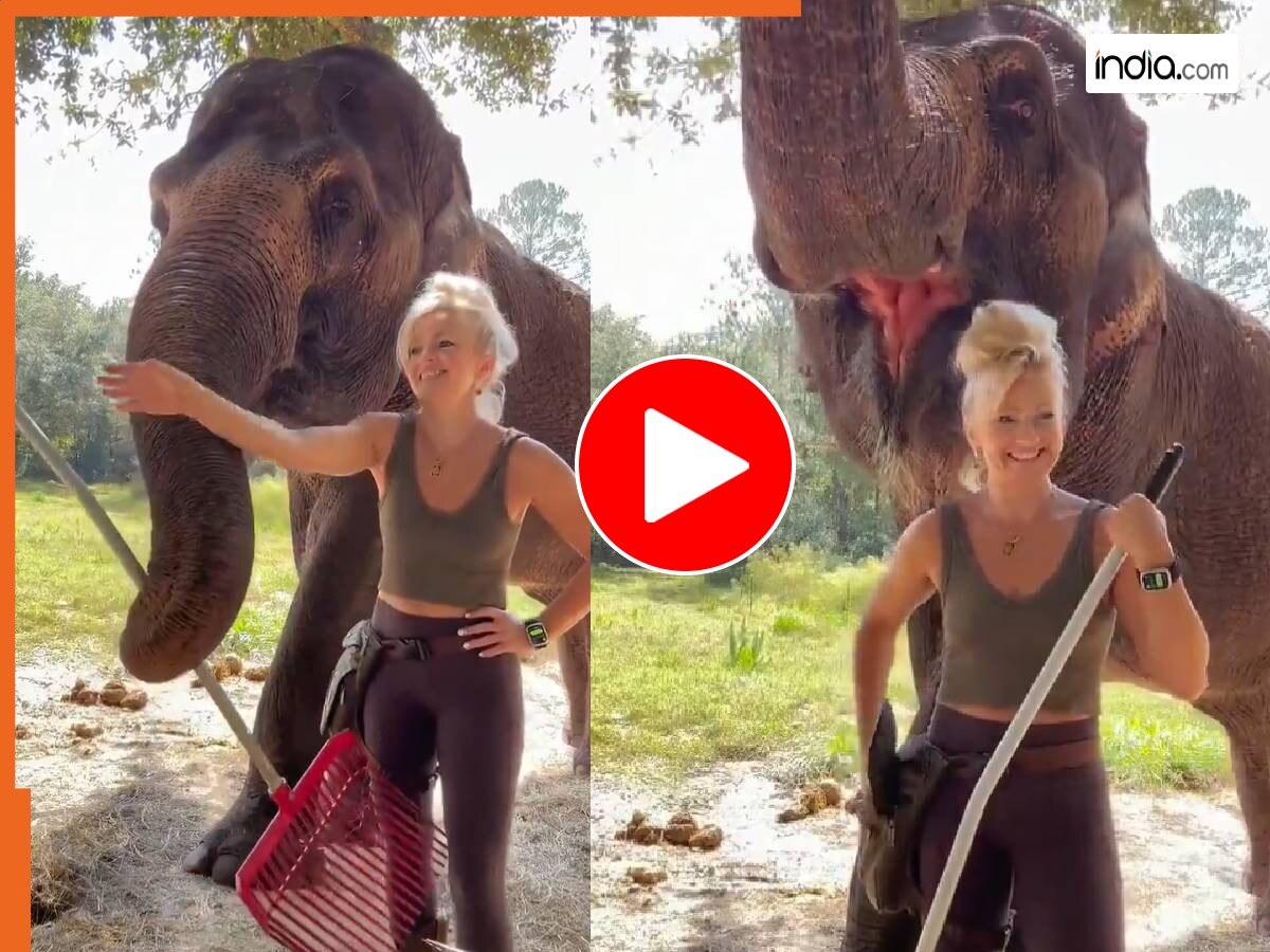 Hathi Ka Video: इस हाथी के मजाकिया अंदाज ने जीता लोगों का दिल, यूजर्स ...
