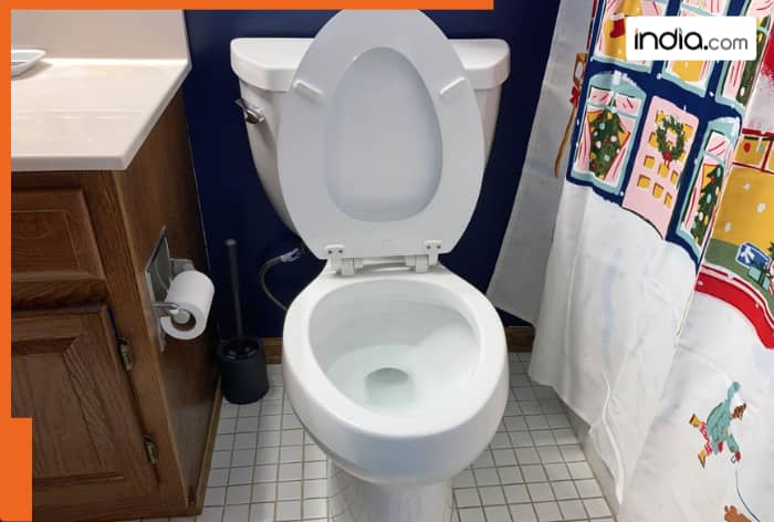 World first TOILET: Where it was built, who used it? Check its 4,000 ...