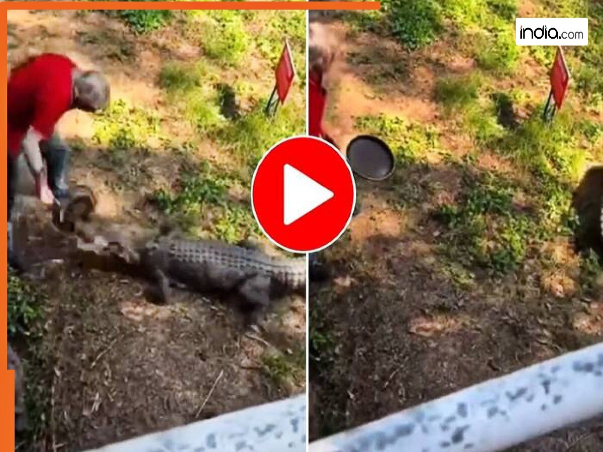 Magarmach Ka Video: गलत शख्स को दबोचने आया मगरमच्छ, फ्राई पैन से इतना ...