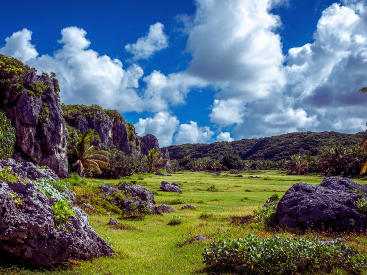 Nauru: इस देश की कोई राजधानी नहीं! फिर भी अच्छे से चलता है यहां शासन ...