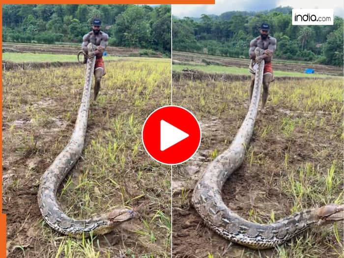 Azgar Ka Video: 21 फीट के अजगर को खींचकर खेलना लगा शख्स, तभी जो दिखा ...