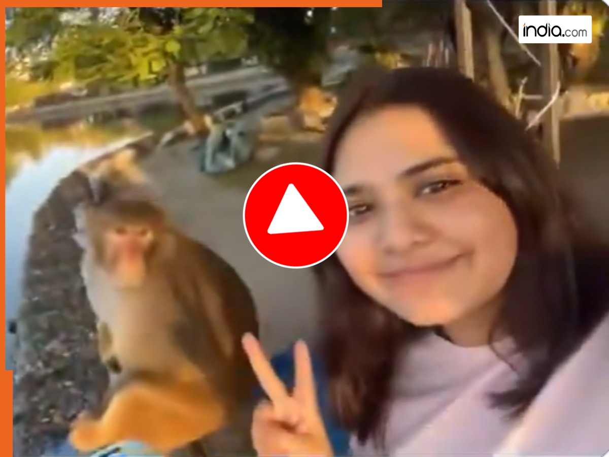 Bandar Ka Video बंदर को HELLO बोलने की गलती कर गई लड़की, ऐसा झापड़ पड़ा ...