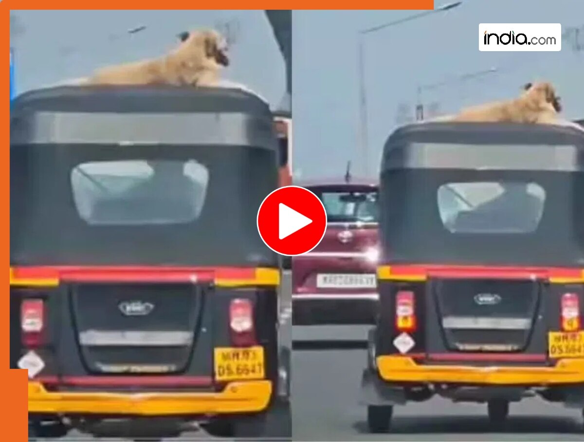 Dog Viral Video: चलती ऑटो के ऊपर बैठा नजर आया कुत्ता, वीडियो देख लोग ...