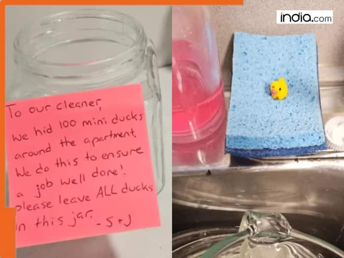Couple hide 100 ducks around home, leave shocking note for cleaner ...