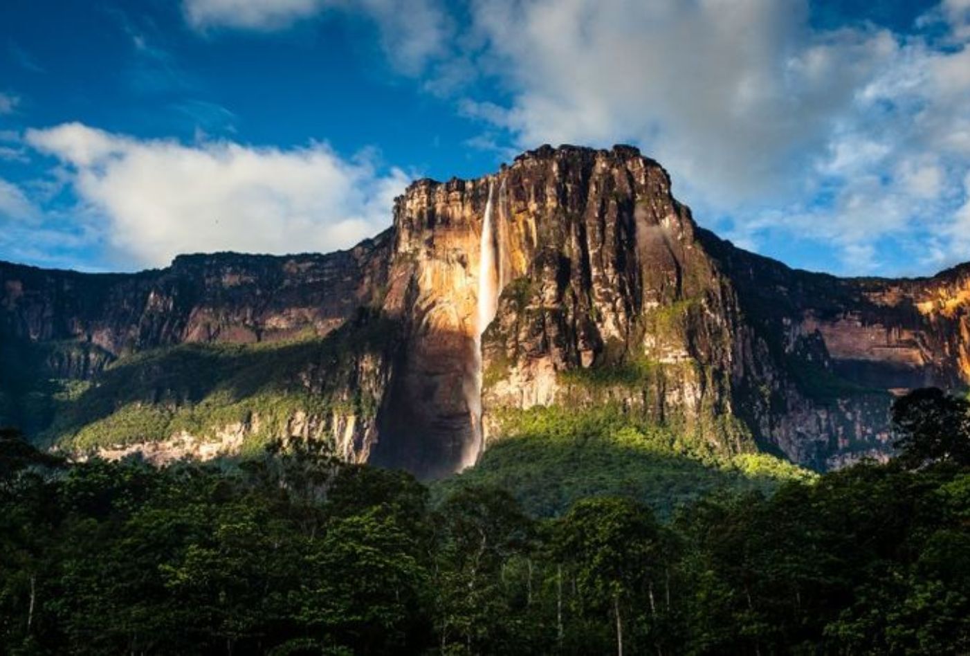 वेनेजुएला के जंगलों में छिपी है ये खूबसूरत चीज! दुनियाभर के लोग हैं ...