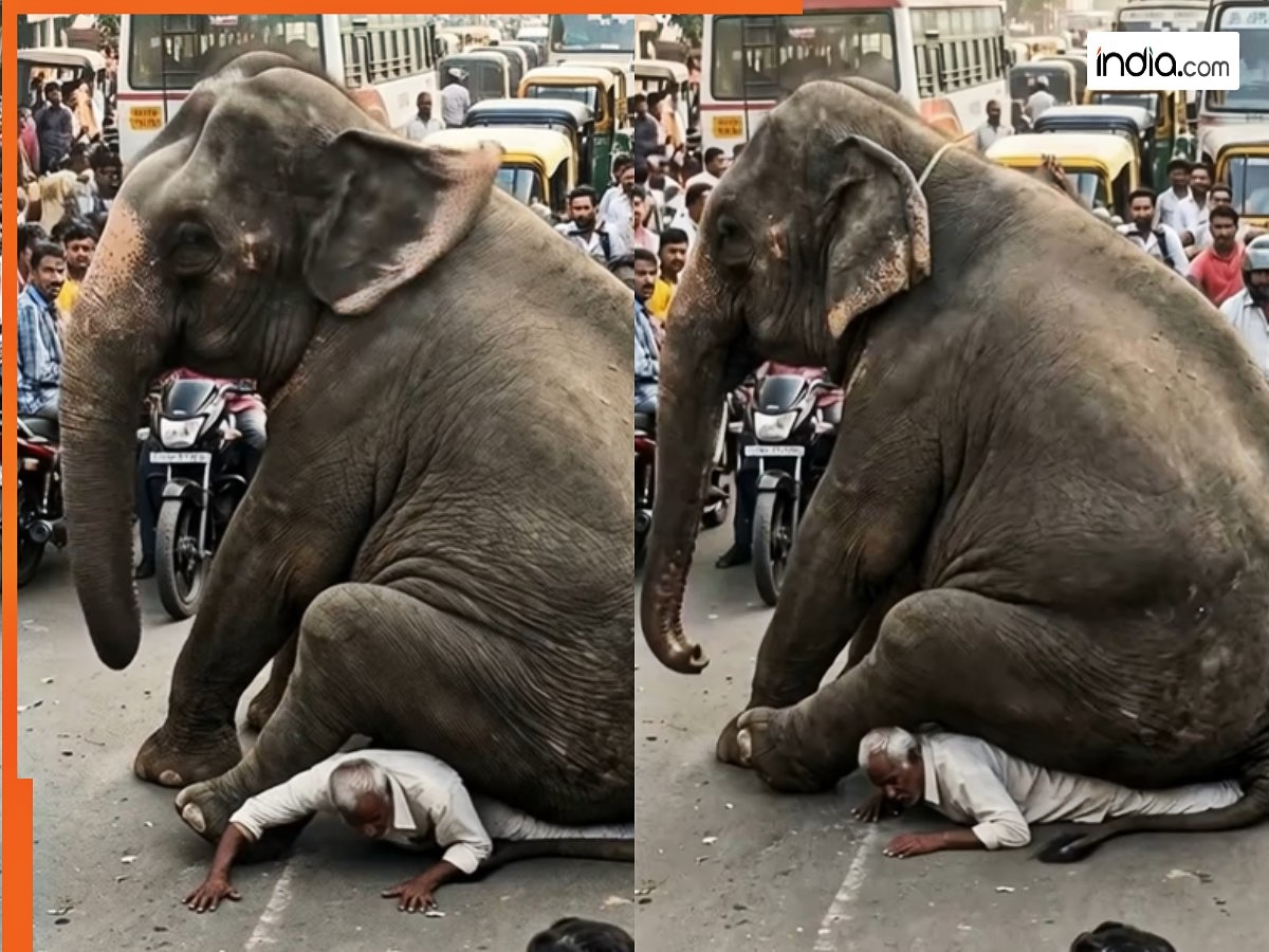 Hathi Ka Video: घर जा रहे चाचाजी के ऊपर ही बैठ गया हाथी, बचाने की जगह ...