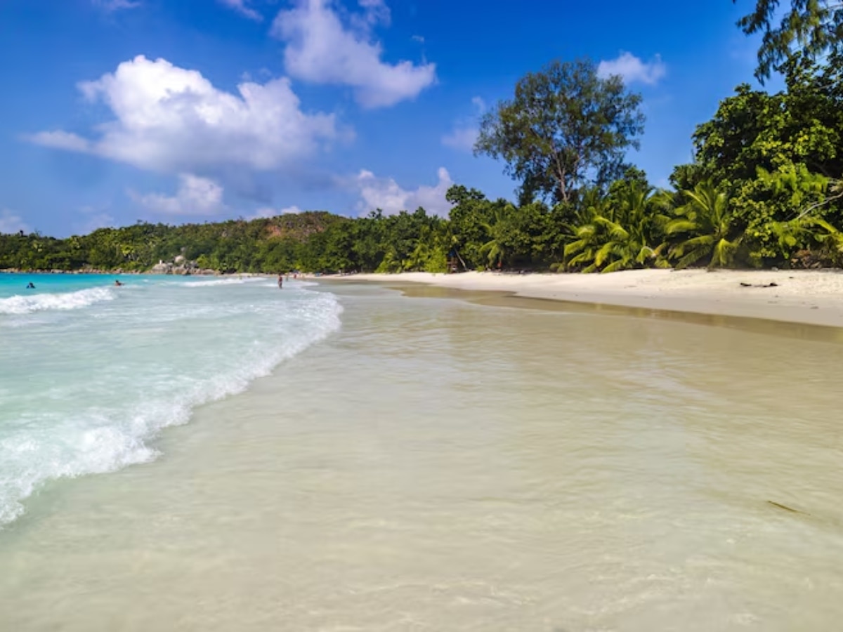 इस देश में रविवार को काम करना माना जाता है अपराध, नियम तोड़ने पर मिलती ...