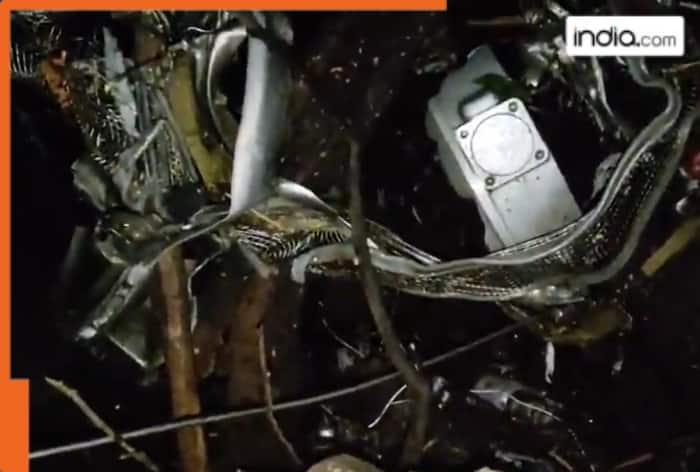 Watch video: Medical chartered plane travelling to Delhi crashes near ...