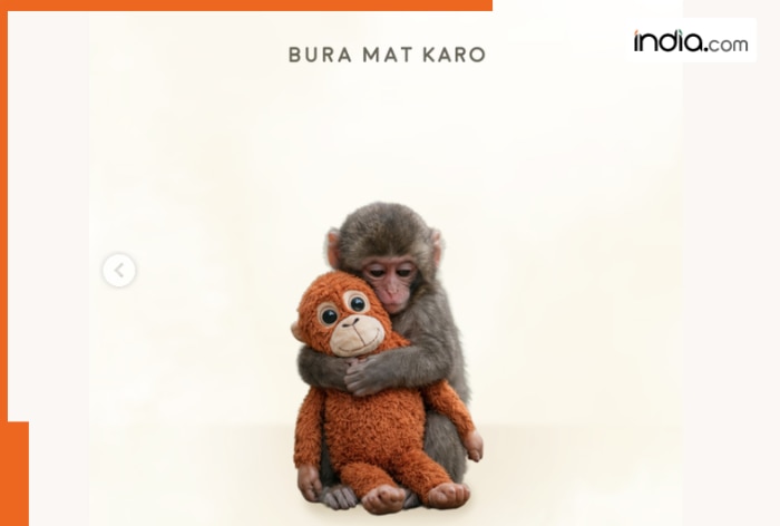 Mumbai Police joins 'Punch, viral baby monkey' trend to spread ...