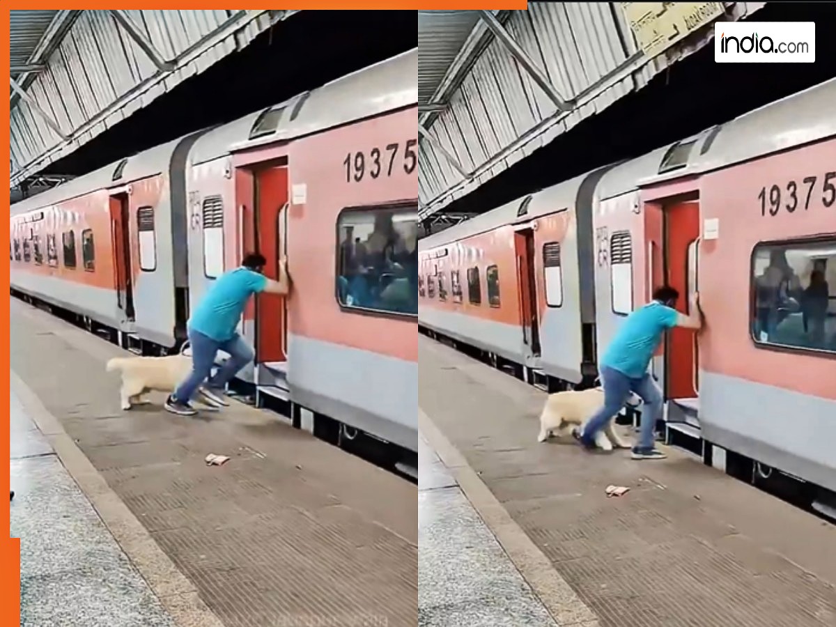 Train Ka Video: चलती ट्रेन में डॉगी को चढ़ाने लगा शख्स, तभी फिसल गया ...