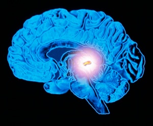 हमारी बॉडी में आज भी मौजूद है तीसरी आंख! वैज्ञानिकों ने Third Eye पर ...