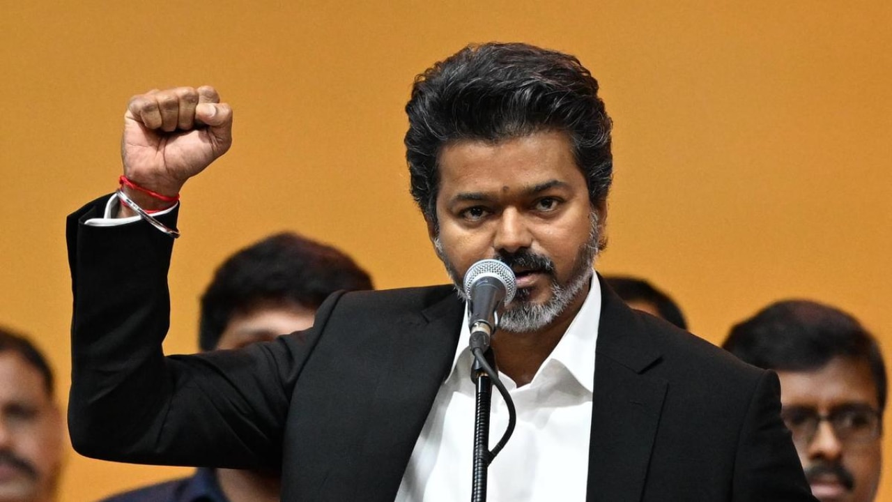Tamil Nadu CM Vijay’s in-flight photo moment goes viral among fans ...