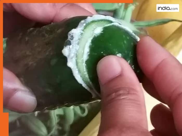 cucumber bitterness hack, cucumber white foam science