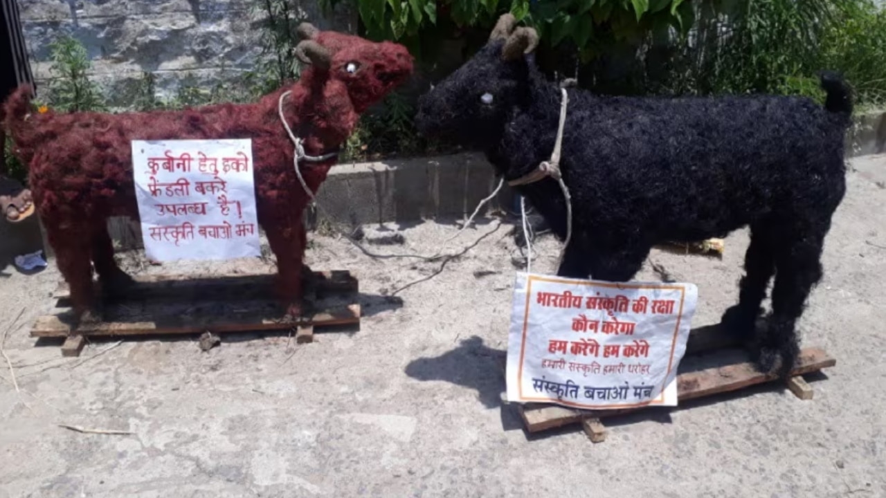 आखिर क्या है इको-फ्रेंडली बकरे? जिसकी हर जगह हो रही है चर्चा, जानिए ...