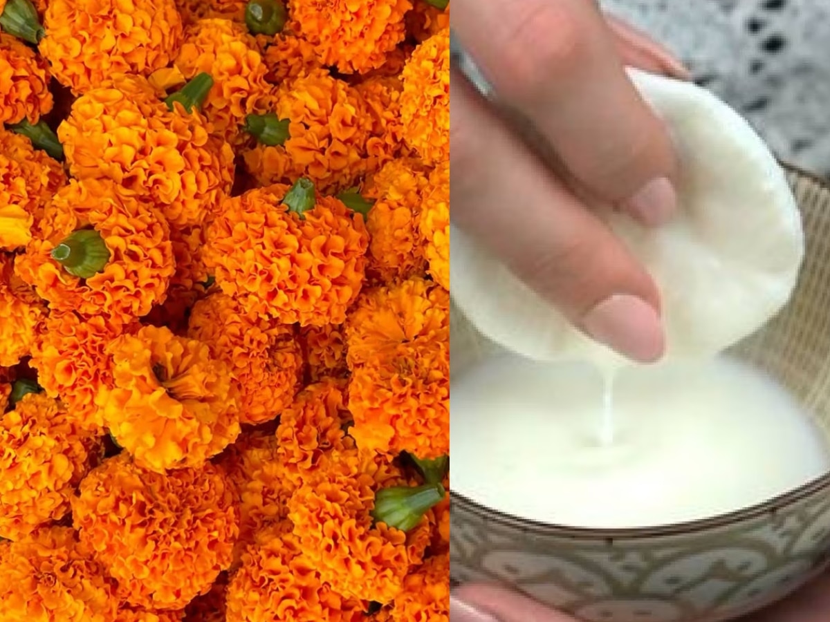 marigold flowers, marigold flowers face pack, raw milk