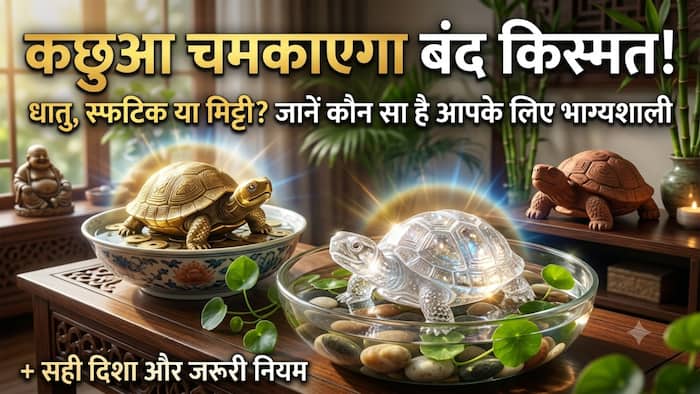 Feng Shui Tortoise: कछुआ बदलने वाला है आपकी किस्मत! लेकिन जानें स्फटिक ...
