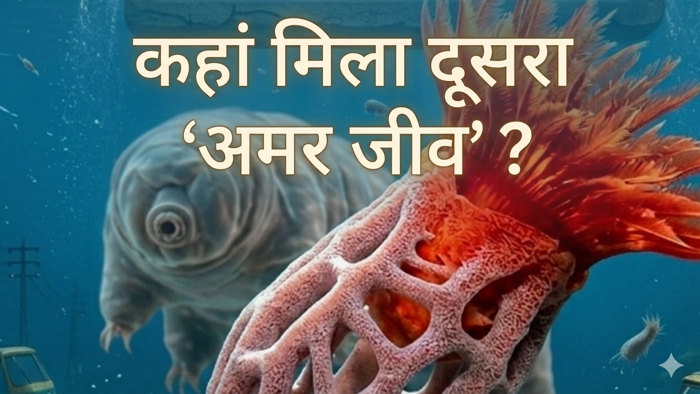 मिला धरती का दूसरा ‘अमर जीव’, वैजानिकों ने प्रयोग में देखा- अंग कटते ...