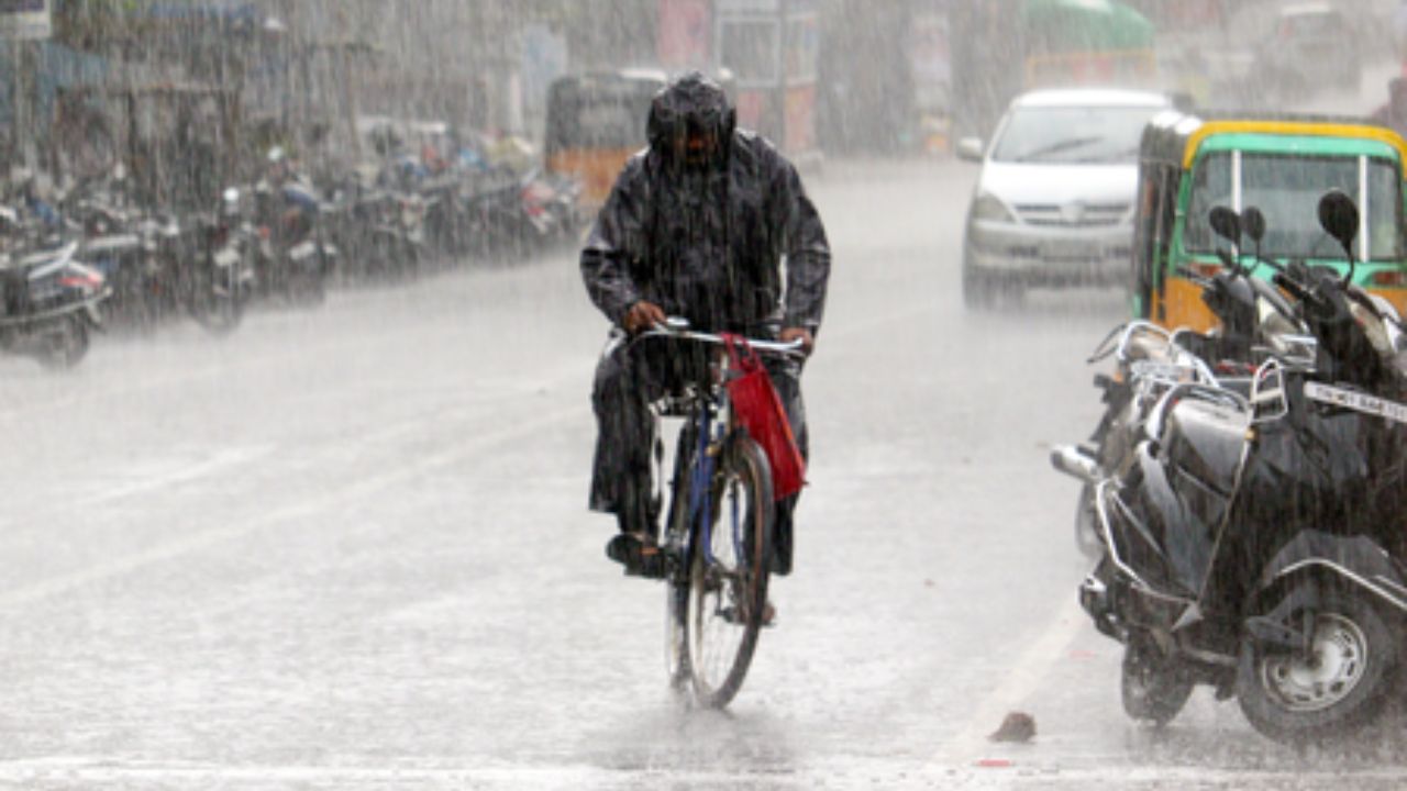 Tamil Nadu Weather Today: Heavy rain, thunderstorm alert likely over ...